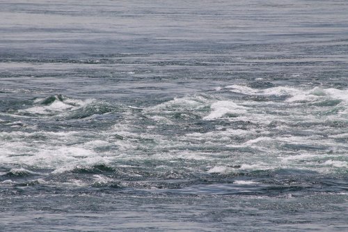 Reversing Falls Park In Maine: Strange Natural Phenomenon