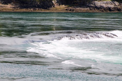 Reversing Falls Park In Maine: Strange Natural Phenomenon
