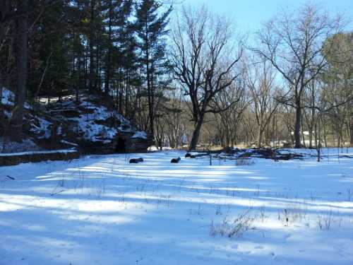 Creepy, Abandoned Wisconsin Dells Amusement Park: Fort Dells