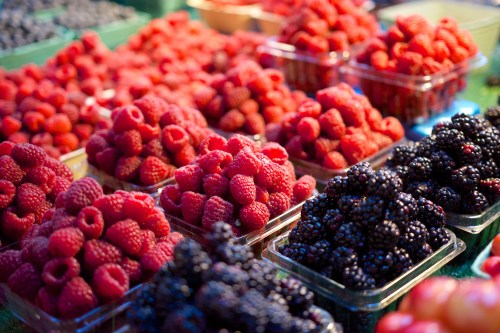 10 Of The Most Iconic Foods In Alaska