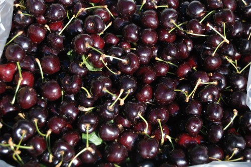 11 Iconic Montana Foods You Need To Try