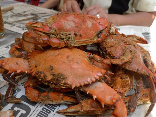 12 Famous Foods In Virginia You Need To Try
