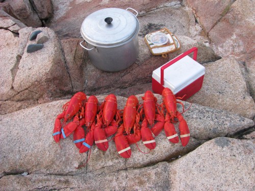 10 Of The Most Popular Foods In Maine That You Must Try