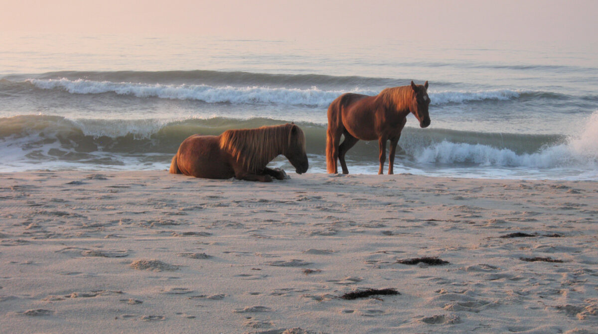 These 11 Beaches In Maryland Are Beyond Beautiful