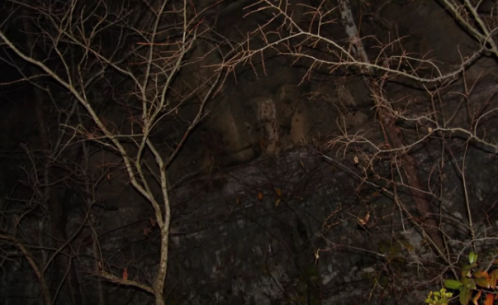 Zombie Road In Missouri Will Give You Nightmares