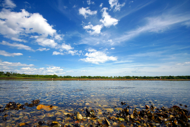 9 Amazing State Parks To Visit In Rhode Island