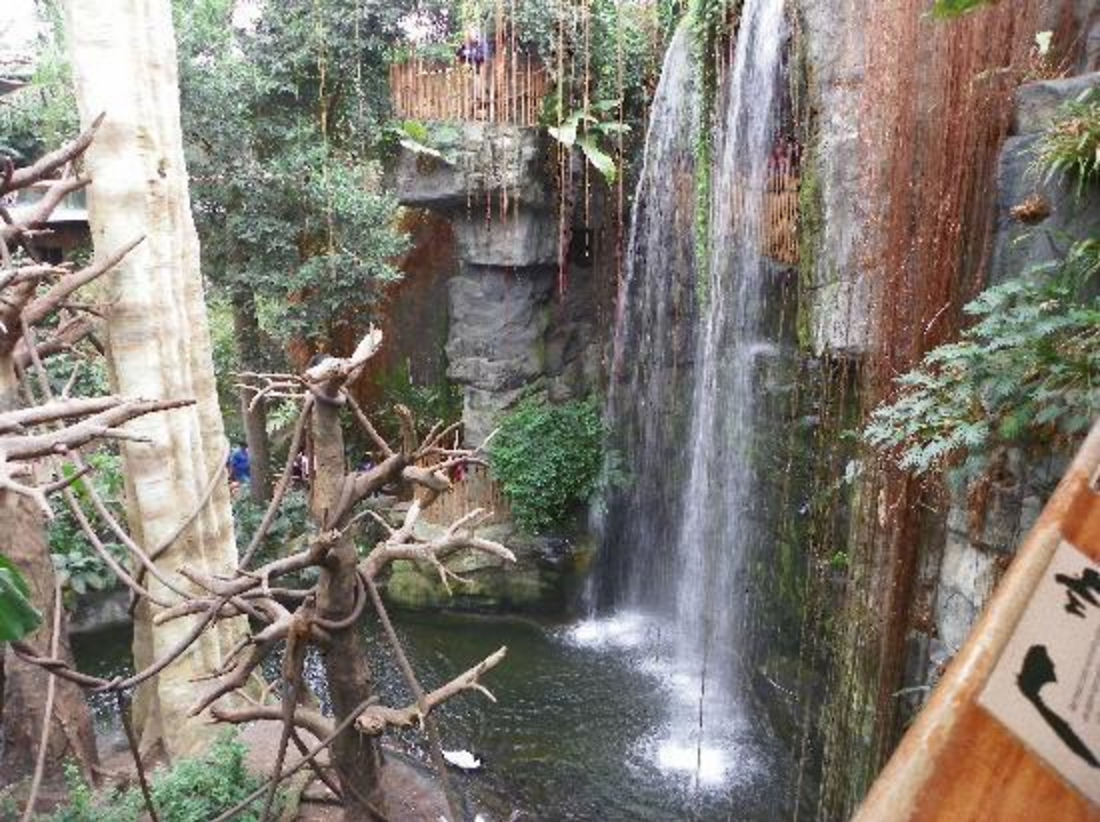 15 Fascinating Things You Probably Didn’t Know About The Henry Doorly ...