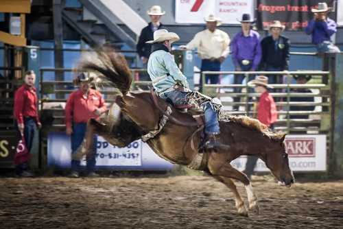 What Food Is Denver Known For? 10 Iconic Foods From Denver