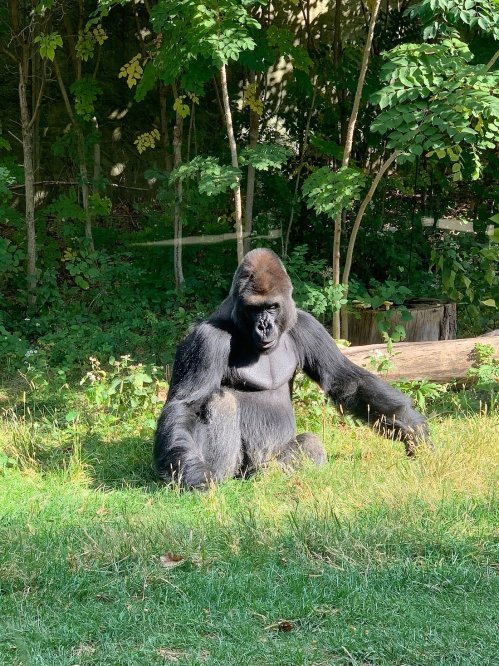 15 Henry Doorly Zoo Facts About Zoo In Omaha, Nebraska