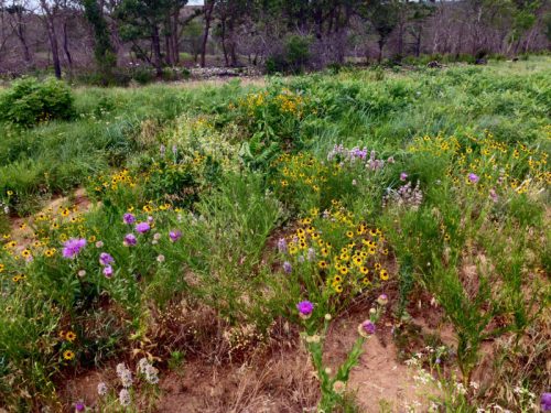 Travertine Creek Is One of the Best Hot Springs in Oklahoma