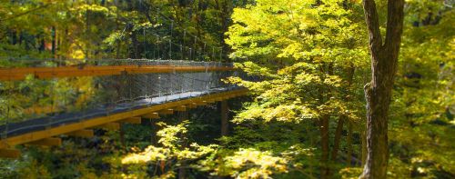 The Breathtaking Murch Canopy Walk In Ohio at Holden Arboretum