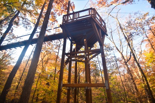 The Breathtaking Murch Canopy Walk In Ohio at Holden Arboretum