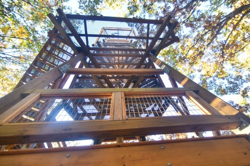 The Breathtaking Murch Canopy Walk In Ohio at Holden Arboretum
