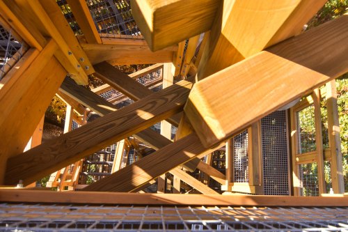 The Breathtaking Murch Canopy Walk In Ohio at Holden Arboretum
