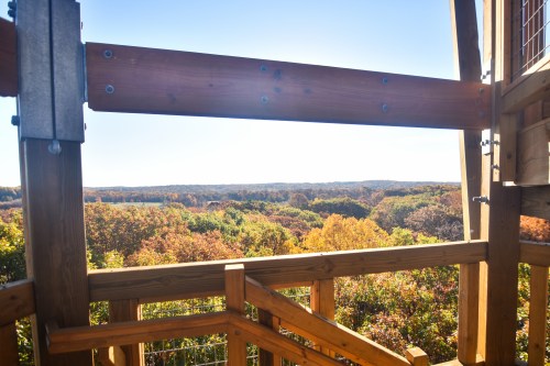 The Breathtaking Murch Canopy Walk In Ohio at Holden Arboretum