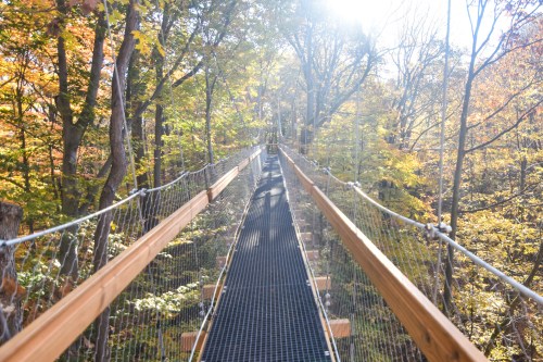 The Breathtaking Murch Canopy Walk In Ohio at Holden Arboretum