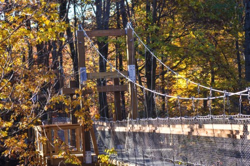 The Breathtaking Murch Canopy Walk In Ohio at Holden Arboretum