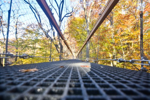 The Breathtaking Murch Canopy Walk In Ohio at Holden Arboretum