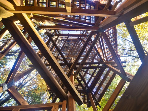The Breathtaking Murch Canopy Walk In Ohio at Holden Arboretum