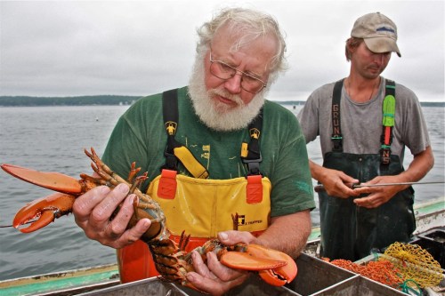 What Are People From Maine Like?