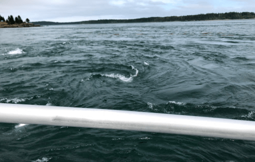 13 Of The Most Unique Places To Visit In Maine