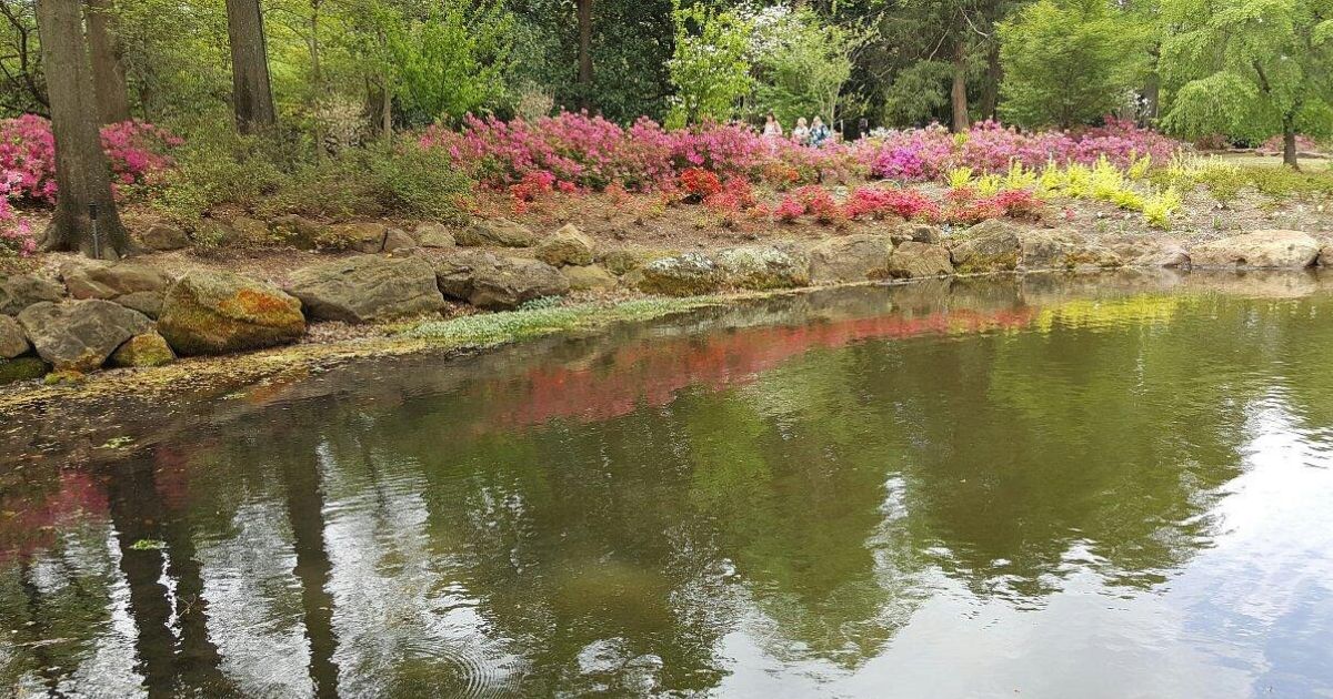 8 Amazing Hidden Gardens To Visit In Oklahoma This Spring