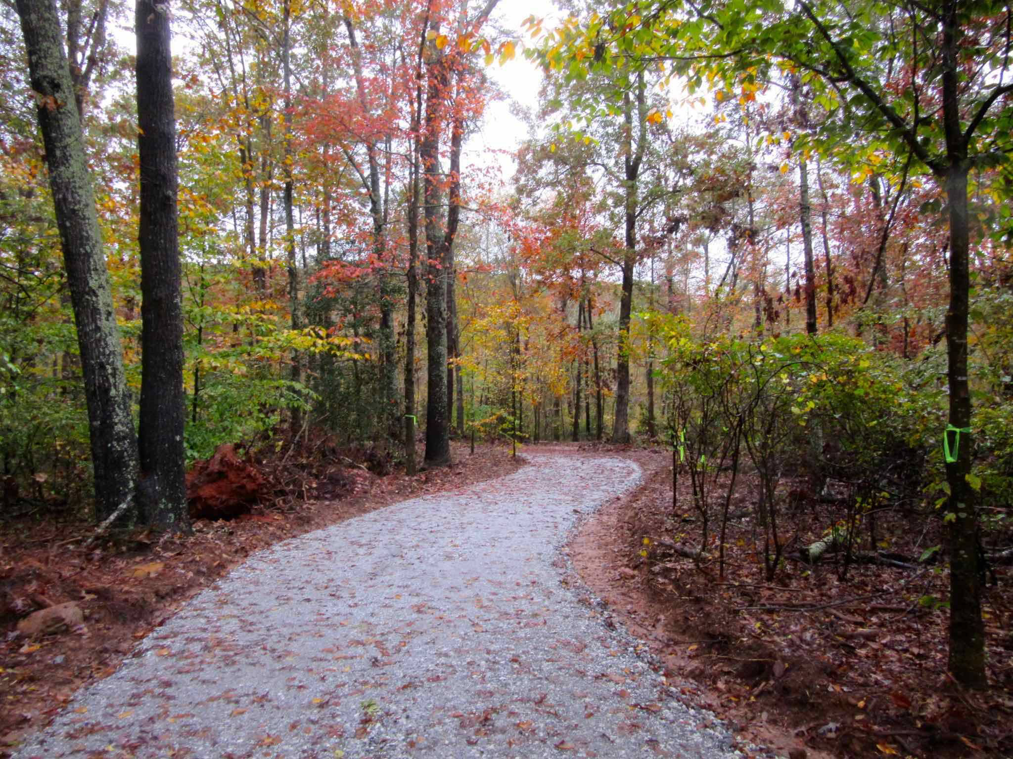 12 Incredible Hikes In South Carolina That Anyone Can Do