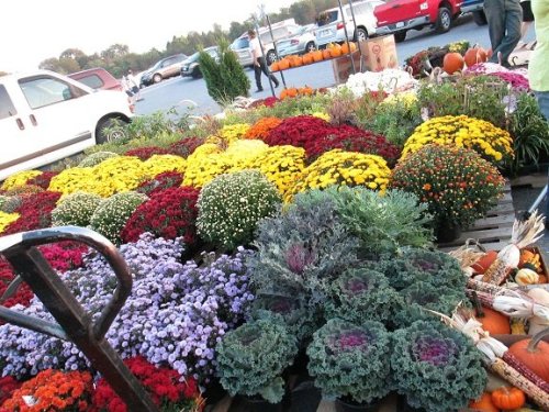 Visit 14 Of The Best Farmers Markets In Pennsylvania