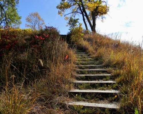 Best Hiking In Iowa: 31 Hiking Trails To Try This Year
