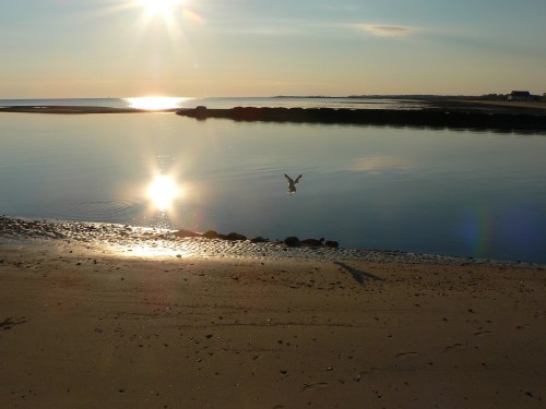 12 Amazing Places to Go Fishing in Delaware