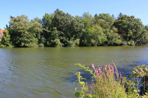 The 7 Best Lakes In Rhode Island To Visit
