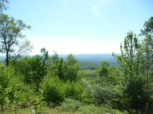 9 Epic Maryland Mountains Worth Visiting