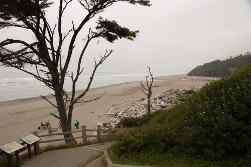 These 15 Hidden Beaches In Washington Offer Fun And Relaxation