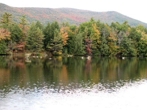 Top 17 Camping Spots in Vermont for Nature Lovers