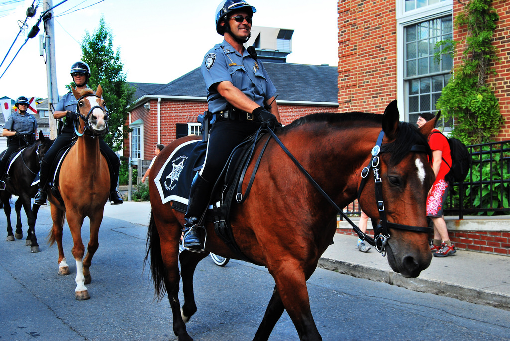 12 Weird New Jersey Laws That Will Make You Giggle