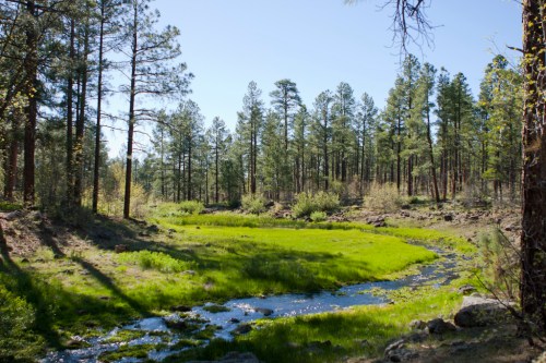 11 Easy Hikes In Arizona That Are Short, Yet Beautiful