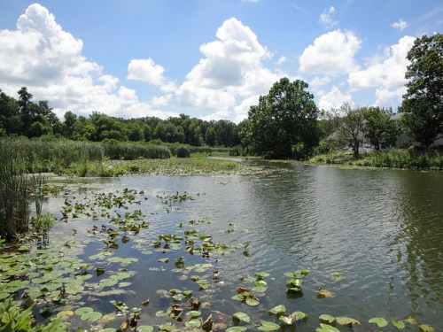 These 11 Best Lakes in Indiana Are Truly Magical In The Summer