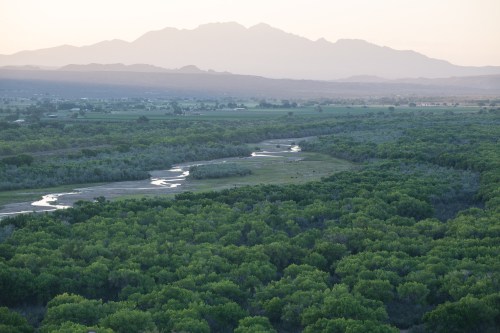 Top 9 Scenic Drives in Texas for Your Next Road Trip