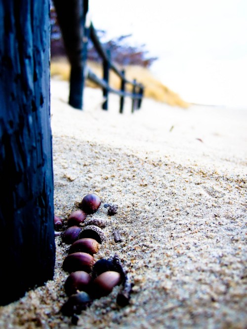 5 Of The Best Sites For Rustic Camping In Michigan