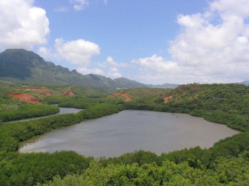 The Unbelievable Legend Of The Hawaii Menehune