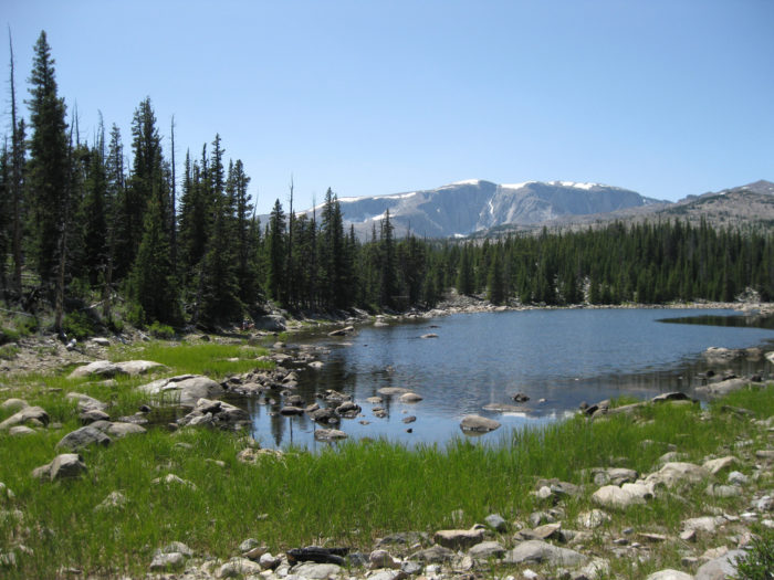 9 Spots For The Best Fishing In Wyoming