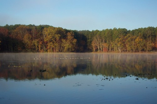 13 Best Lakes In Illinois That Are Absolutely Magical