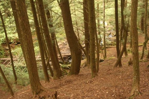 Primitive Camping In Vermont: 11 Best Dispersed Campgrounds