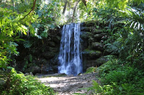 10 Of The Very Best Road Trips In Florida On A Tankful