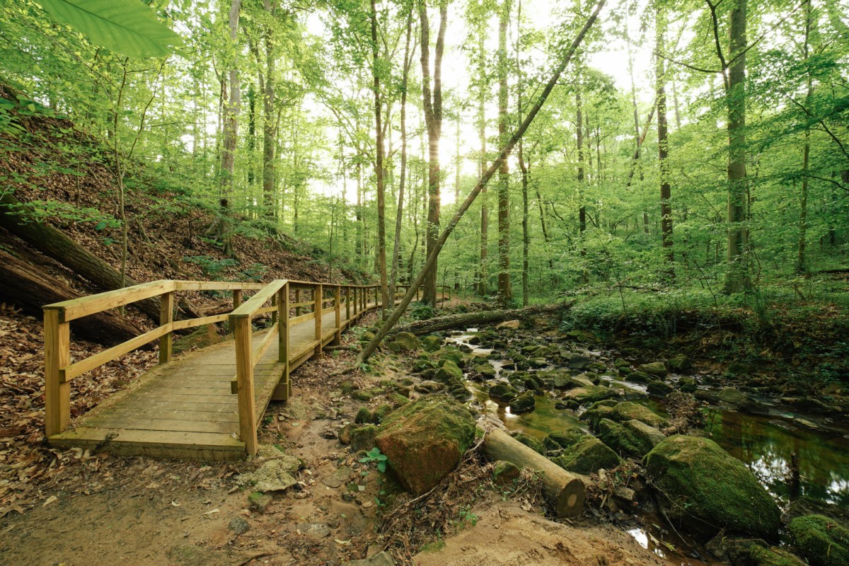 Tackle This Easy Hike In Georgia At Cascade Springs Nature Preserve