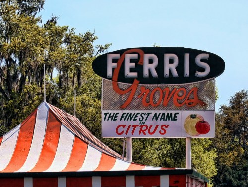 10 Of The Very Best Road Trips In Florida On A Tankful