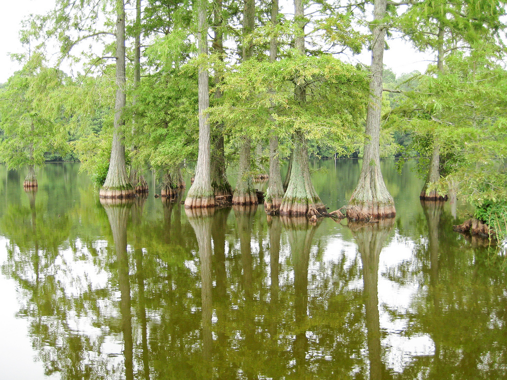 Discover Delaware's Most Beautiful Places