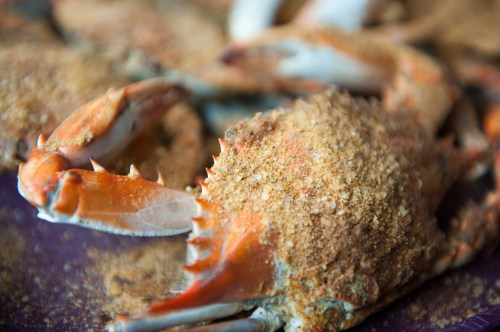 14 Delaware Foods You Won't Know You Love Until You Live Here