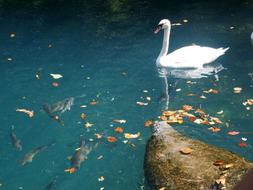 10 Of The Very Best Road Trips In Florida On A Tankful
