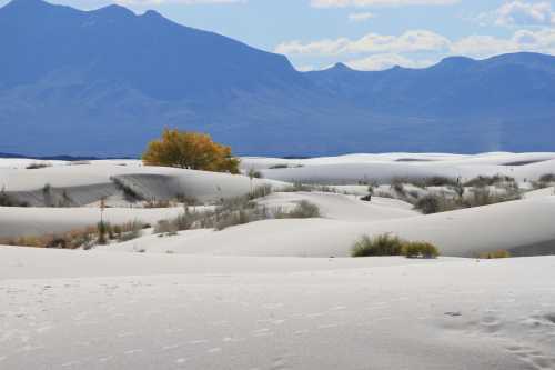 6 Beaches In New Mexico Most Don't Know About